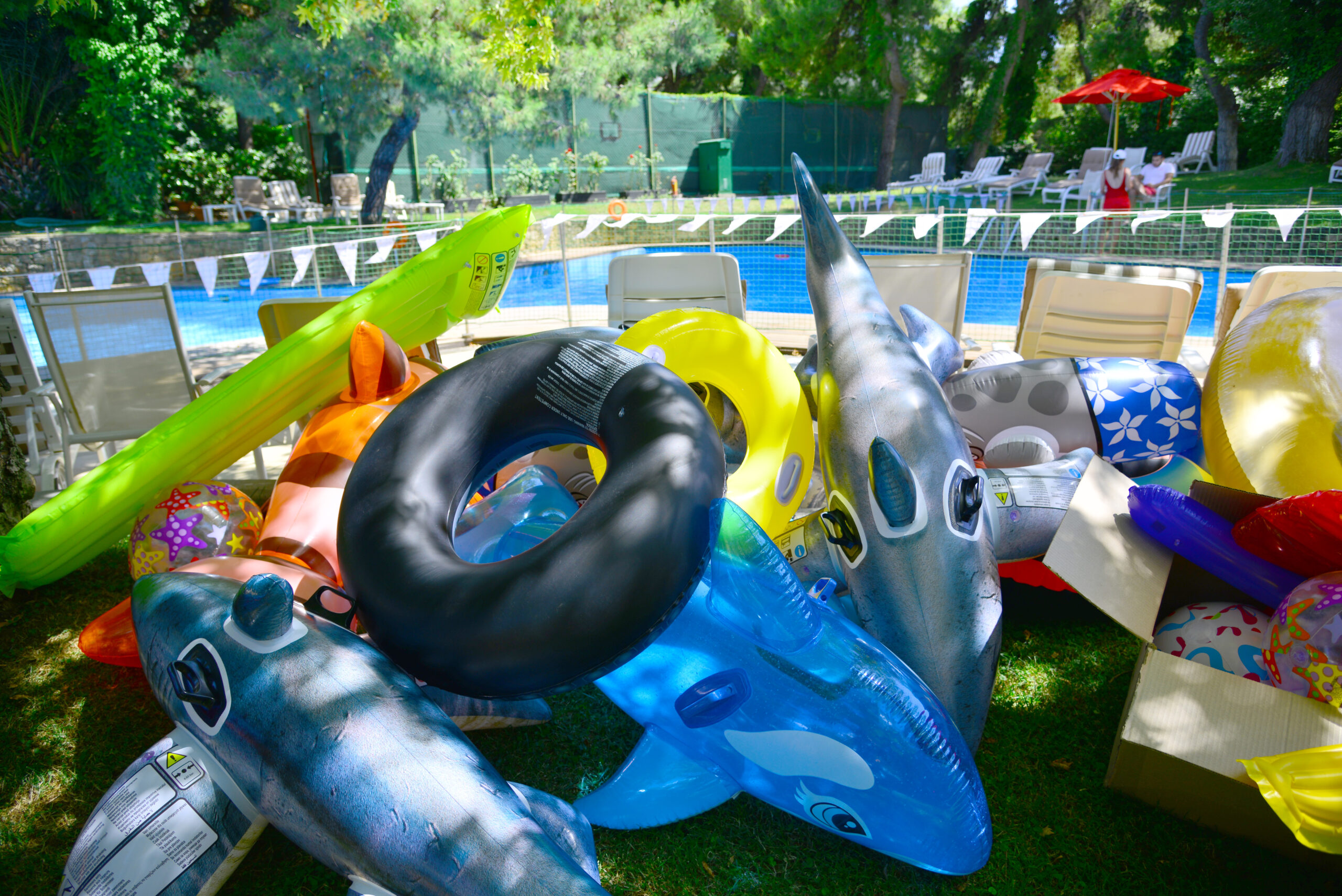 Cyber Summer Camps Prepare for Future - EVS